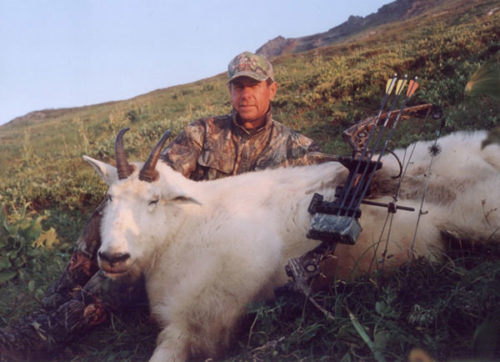 Alaska Mountain Goat | Mountain Goat Hunting | Hunt Alaska Magazine