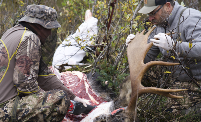 Field Butchering Tips and Tactics - Hunt Alaska Magazine